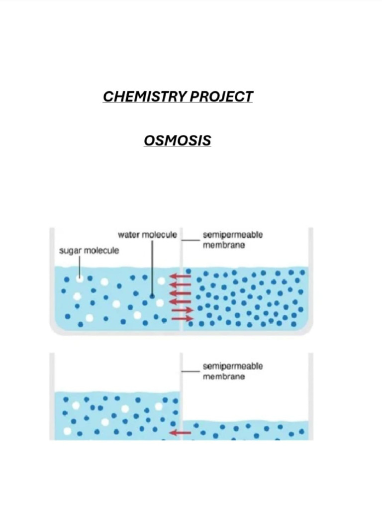 Osmosis 1 | PDF | Osmosis | Biology