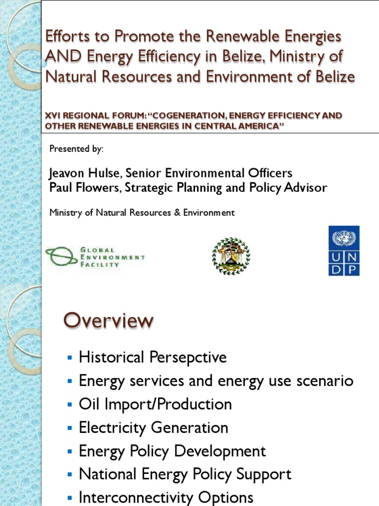 Ministry of Natural Resources and Environment: Efforts to promote the ...