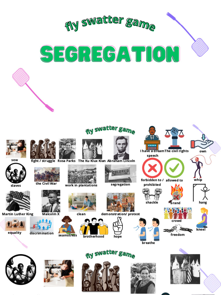 Segregation Fly Swatter Game | PDF