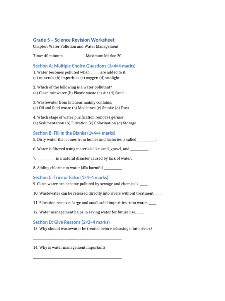 Grade 5 Water Pollution Revision Worksheet | PDF