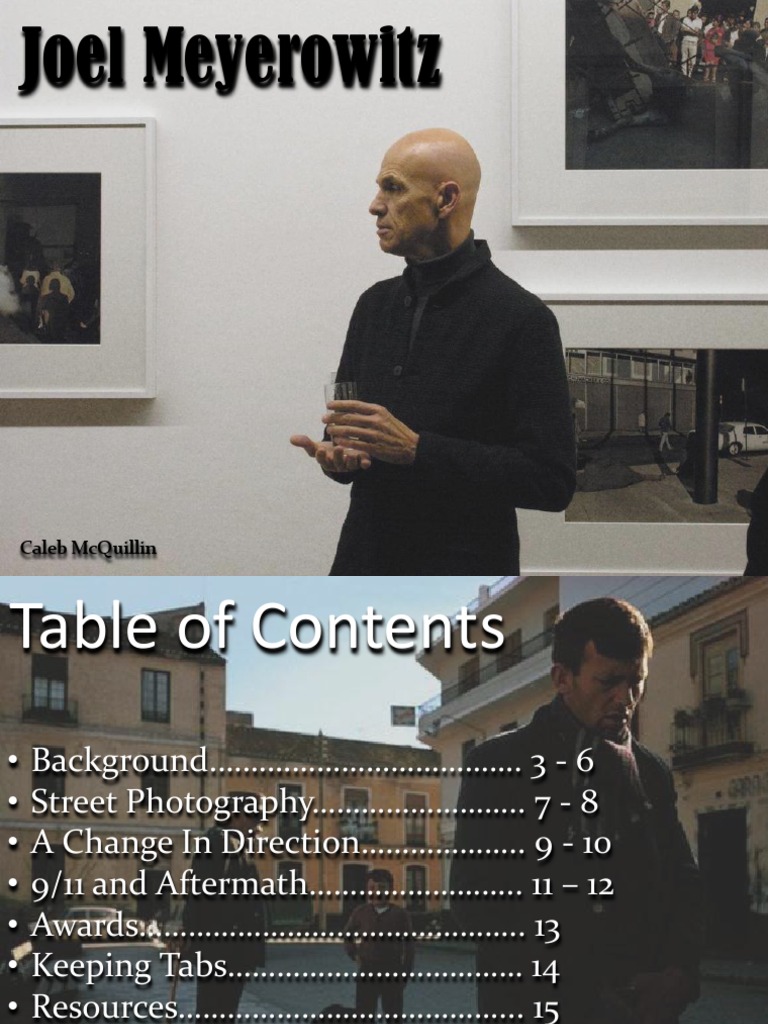 Joel Meyerowitz: A Photographer's Journey | PDF | Imaging | Art Media