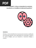Fases y tipos de fisión binaria | PDF | Biología Celular) | Microorganismo