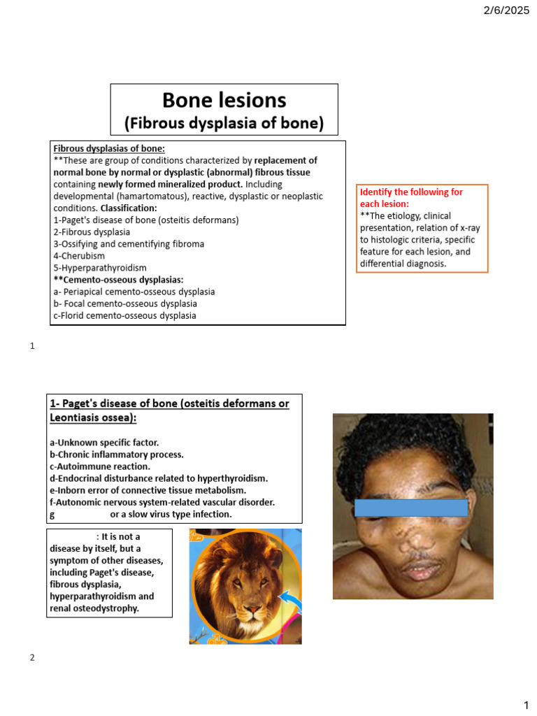 Bone (Fibro-Osseous) Lesions | PDF | Bone | Medical Specialties