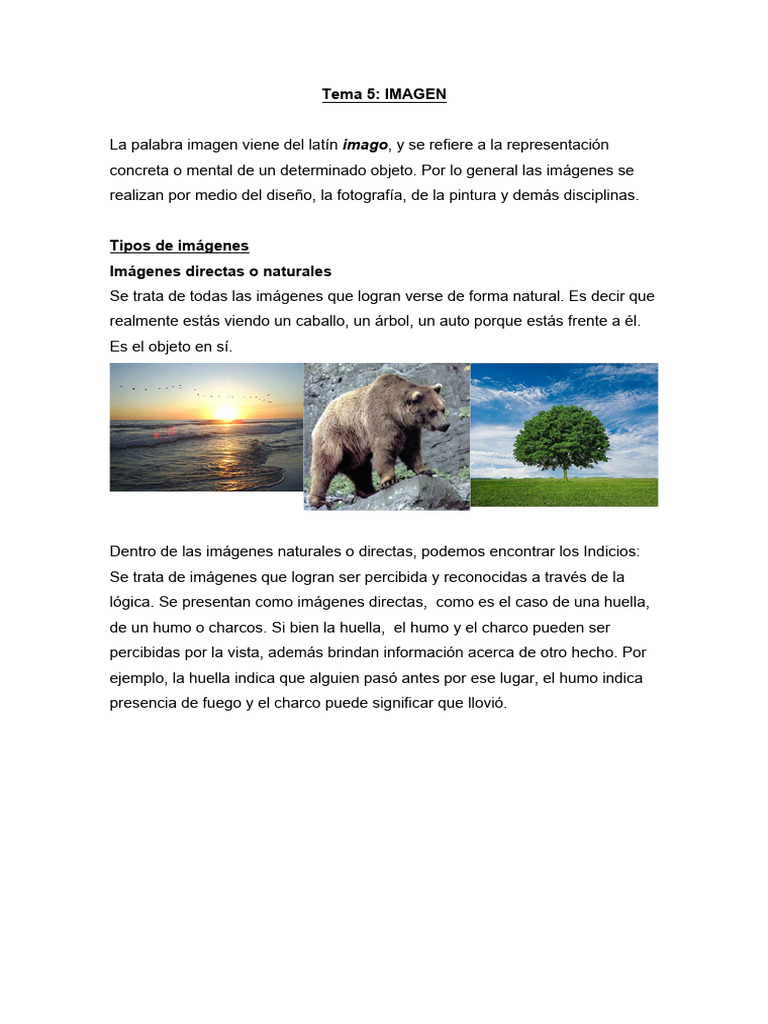 4 Cuarta Etapa Imagen | PDF | Imagen | Mente