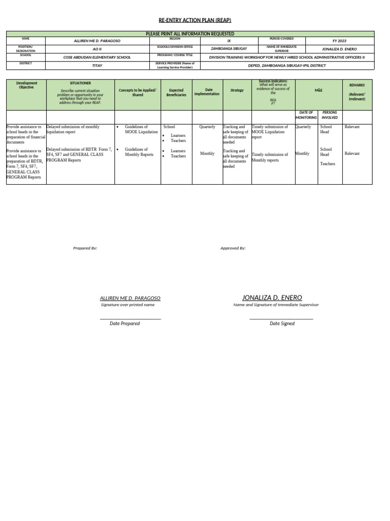 Template - Re-Entry Action Plan | PDF