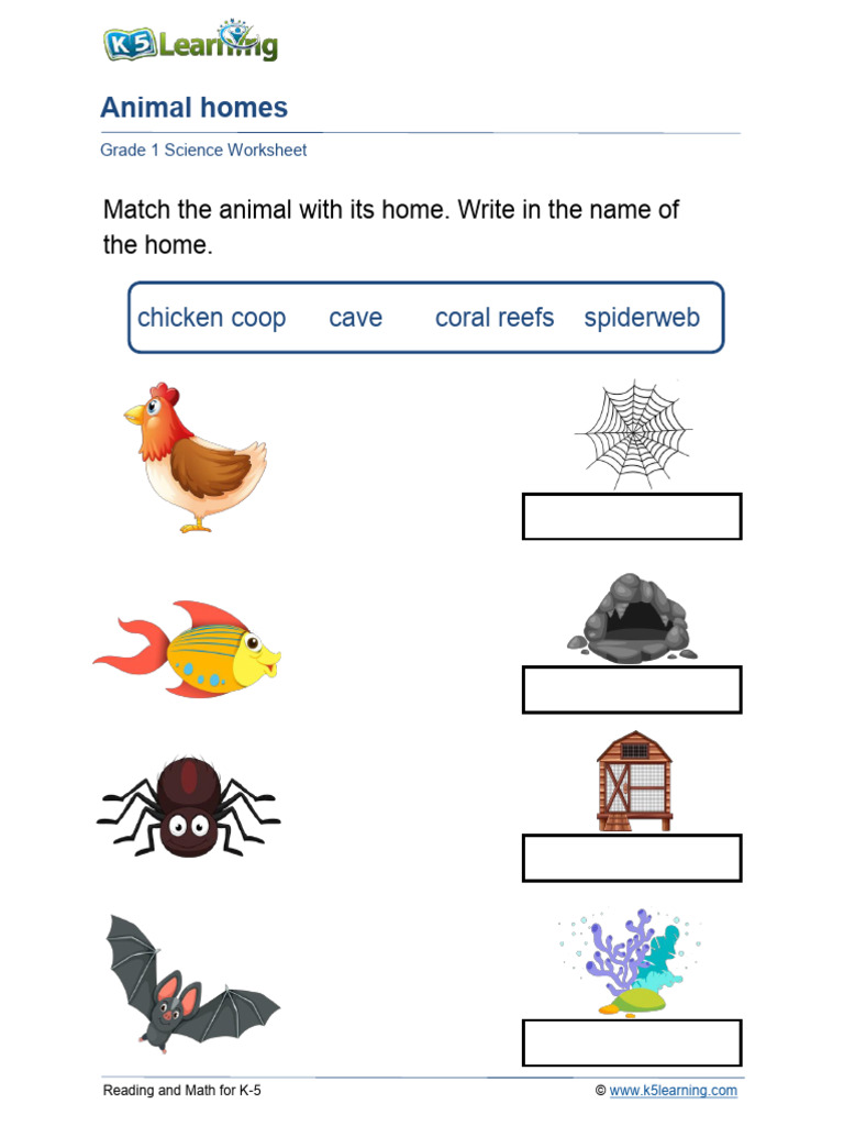 Grade 1 Animal Homes A | PDF