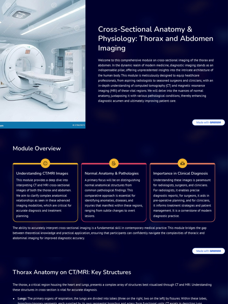 Cross Sectional Anatomy and Physiology Thorax and Abdomen Imaging | PDF ...