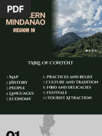 Overview of Region 10: Northern Mindanao | PDF | Mindanao
