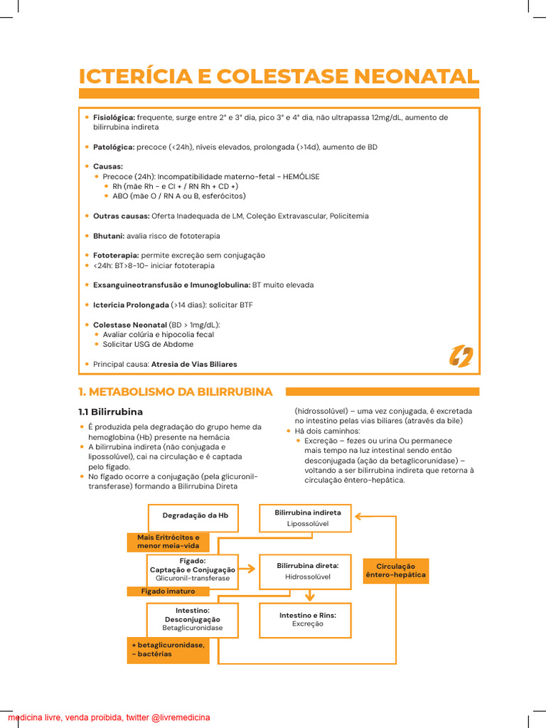 01 - Ictericia e Colestase Neonatal | PDF | Bile | Medicina Clínica