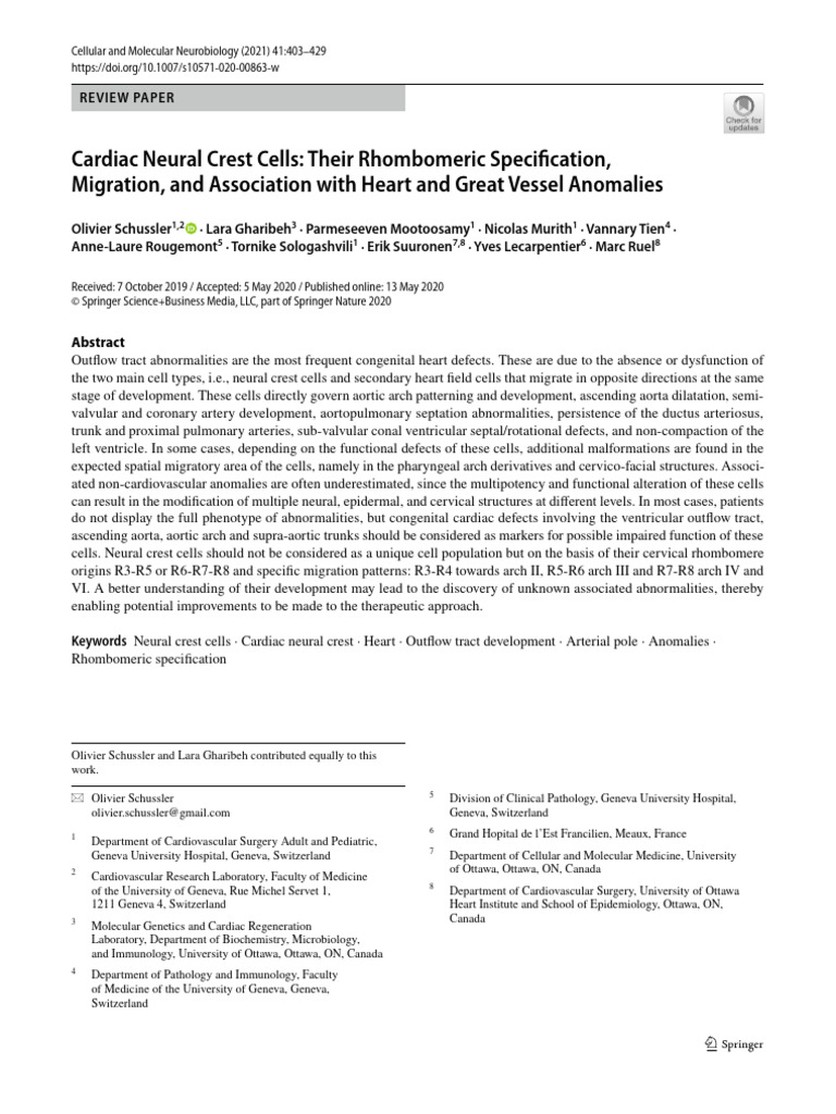 Cardiac Neural Crest Cells Their Rhombomeric Specification, Migration ...
