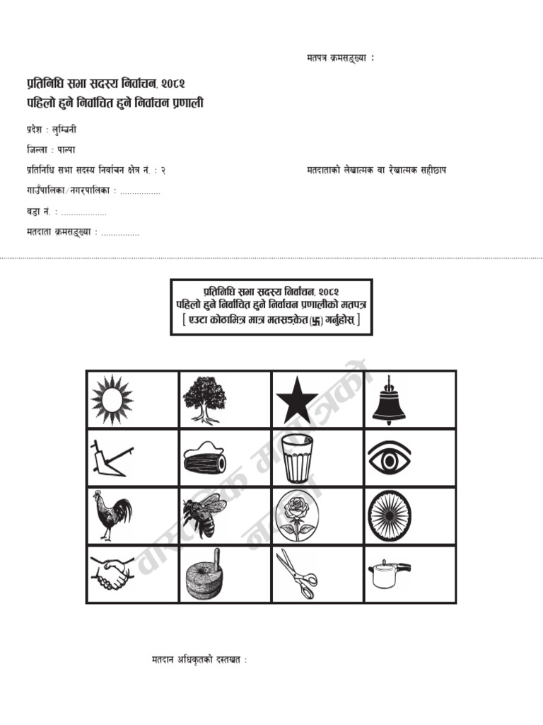 Palpa 2nn | PDF