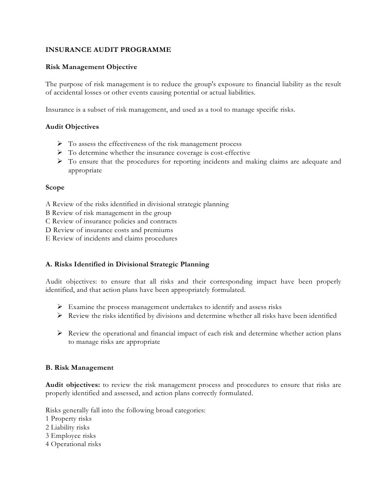 Insurance Programme | PDF | Insurance | Risk Management