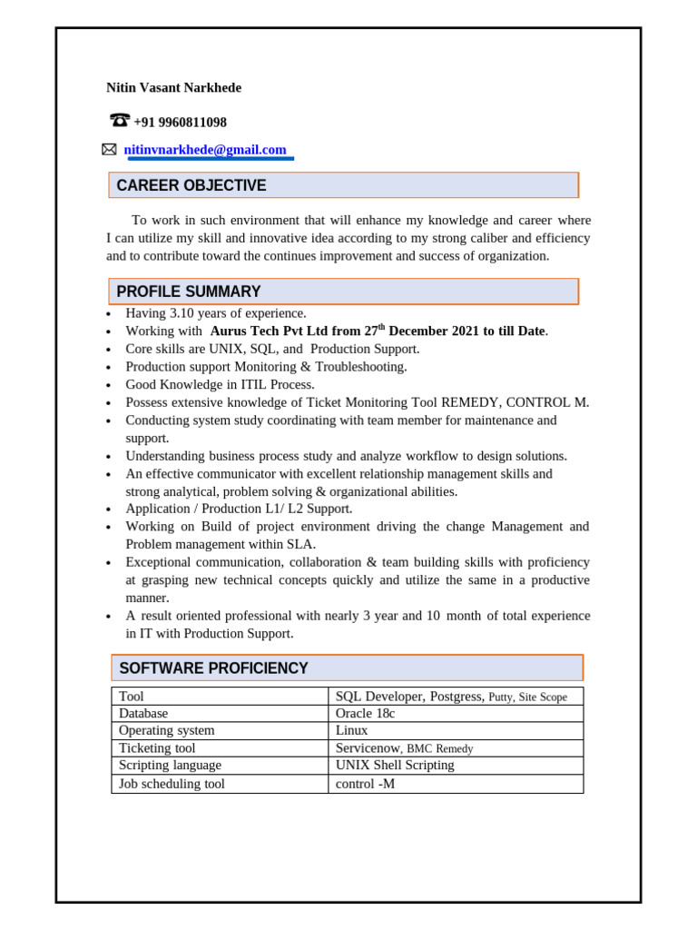 NVN_CV | PDF | Second Language Acquisition | Computing