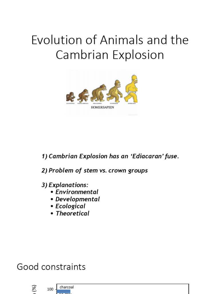 Evolution of Animals and The Cambrian Explosion | PDF | Earth Sciences
