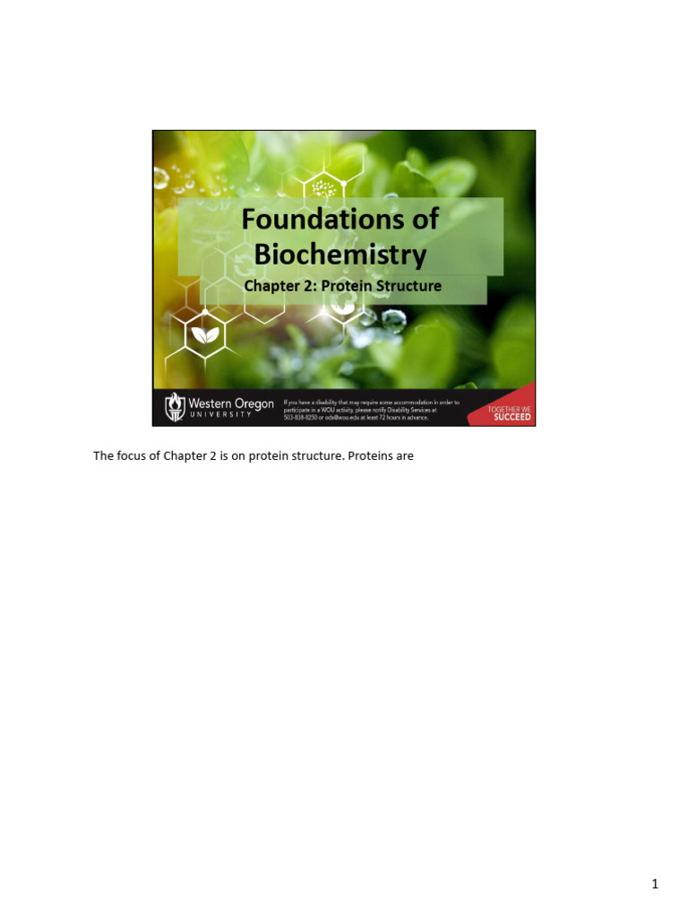 Chapter 2 Slides (1) | PDF | Beta Sheet | Amino Acid