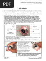 Sheep Eye Dissection Guide | PDF | Eye | Senses