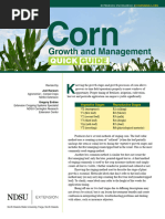 Corn Growth Stages: Days & GDUs Guide | PDF | Seed | Maize