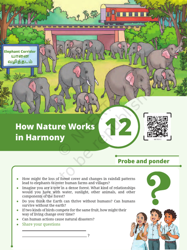 Cbse Class 8 Science Book Curiosity Chapter 12 | PDF | Ecosystem | Flowers