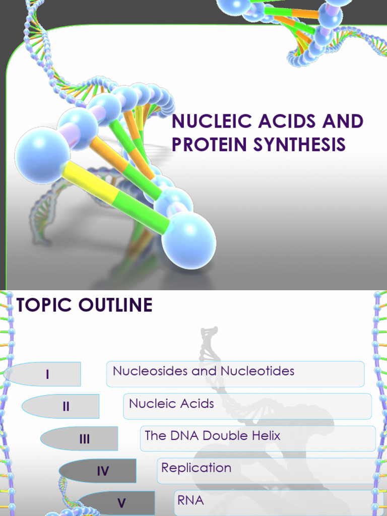 Chapter 5 Nucleic Acids and Protein Synthesis | PDF | Translation ...