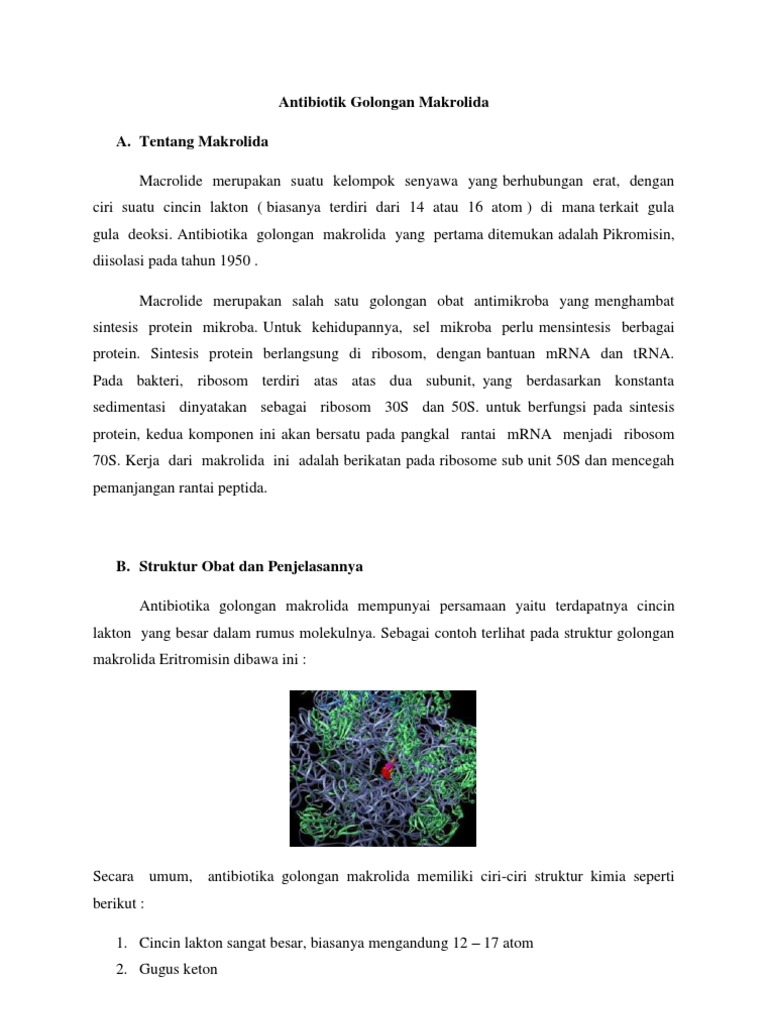 Antibiotik Golongan Makrolida | PDF