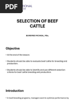Livestock Judging Techniques Explained | PDF | Livestock | Domesticated ...