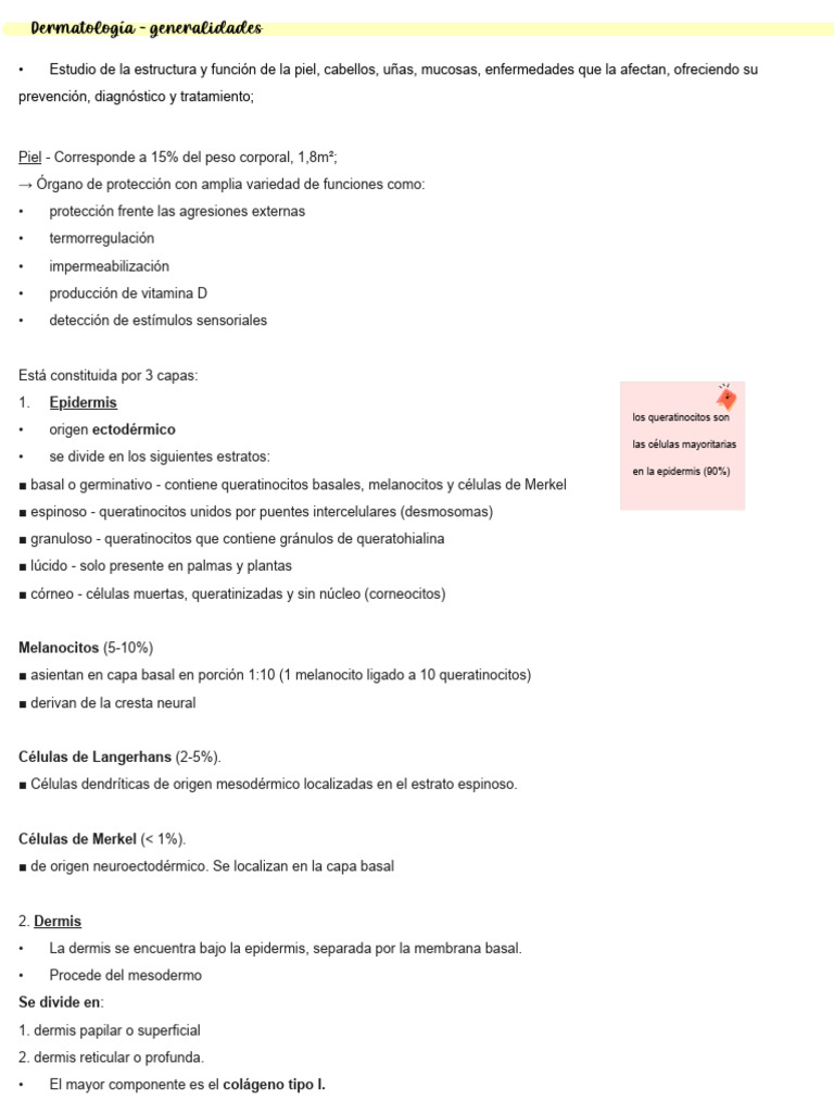 Dermatología - P1 | PDF | Epidermis | Especialidades Medicas