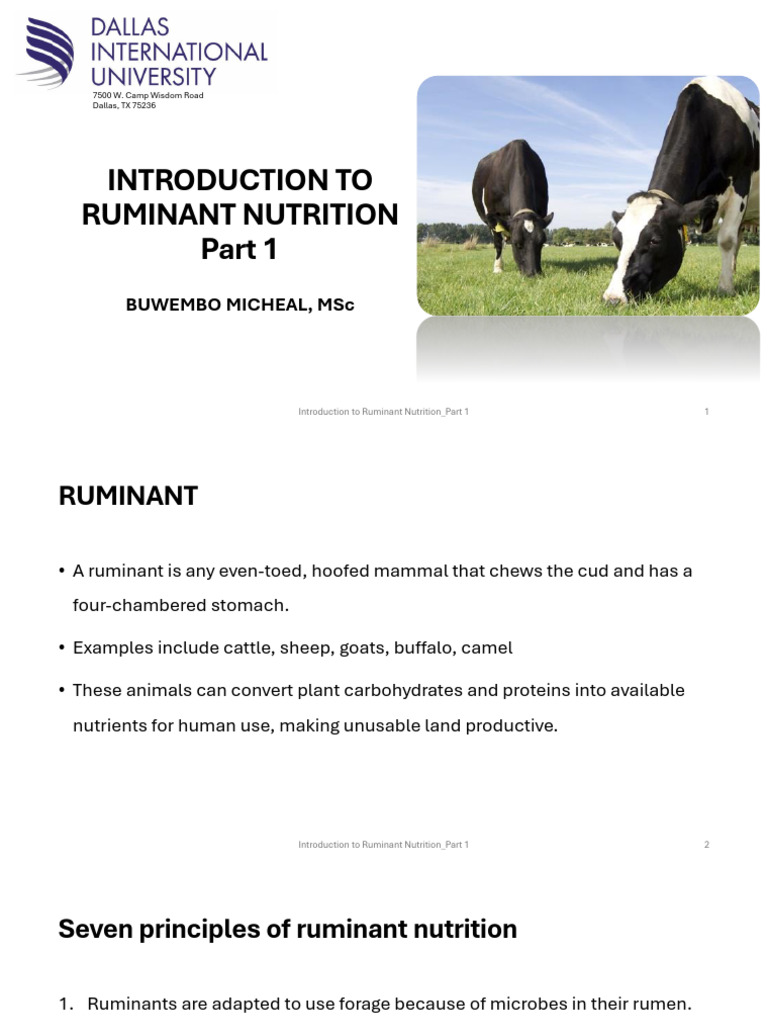 Lesson 17 Introduction To Ruminant Nutrition Part 1 | PDF | Ruminant ...