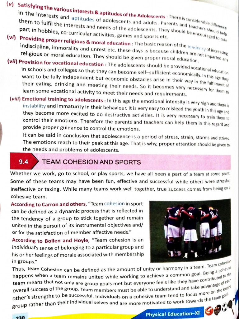 IX - PSYCHOLOGY (Team Cohesion and Sports) | PDF