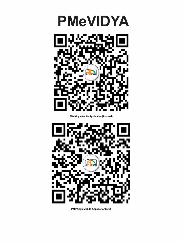 QR Codes | PDF