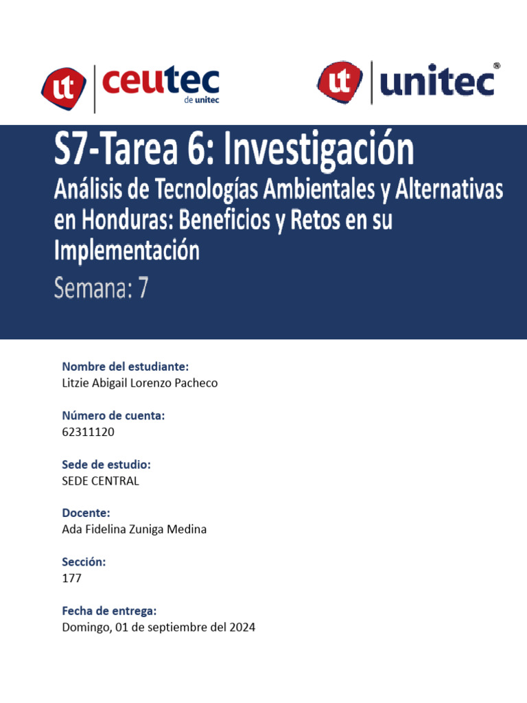 Tarea 6 - Litzie Lorenzo - 177 | PDF | Sustentabilidad | Energía renovable