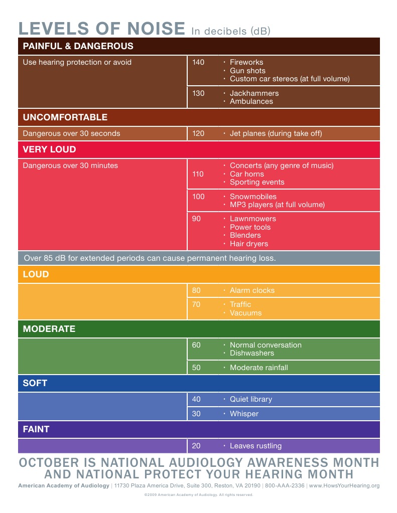 Noise Levels and Hearing Protection Guide | PDF