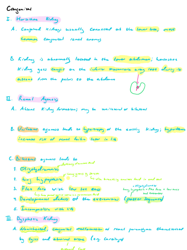 Kidney and Urinary Tract - Pathoma | PDF | Kidney | Medical Specialties