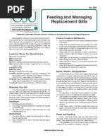 Project Proposal Swine Raising | PDF | Pig | Animals And Humans