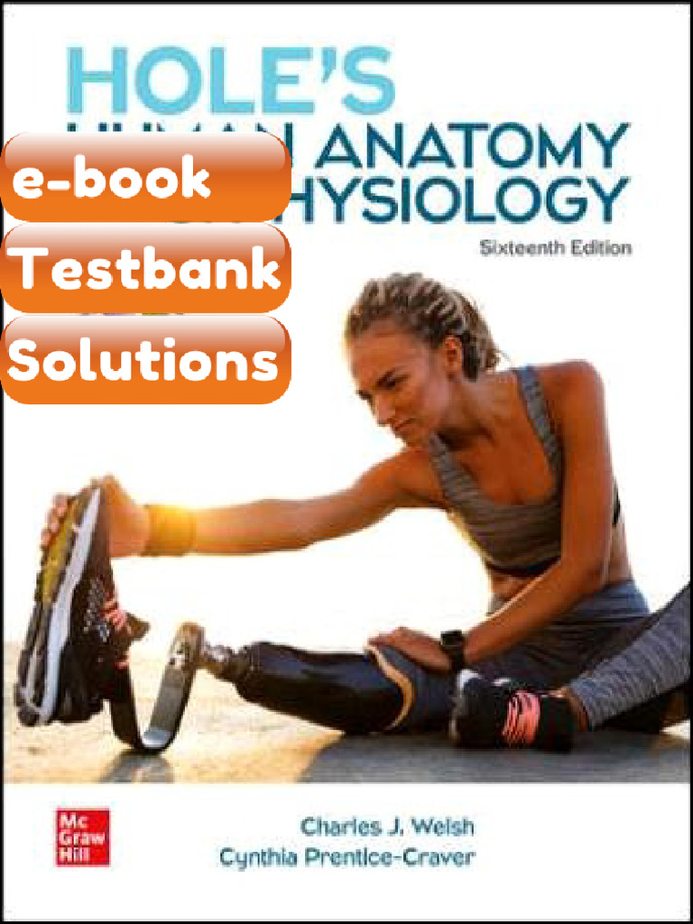 Testbank Holes Human Anatomy Physiology 16th Edition Charles Welsh ...