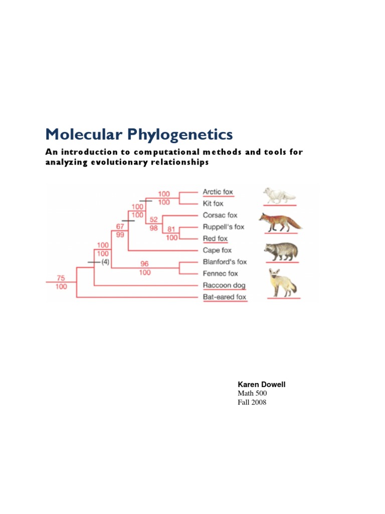 Molecular Phylogenetics Guide Pdf Phylogenetic Tree Molecular