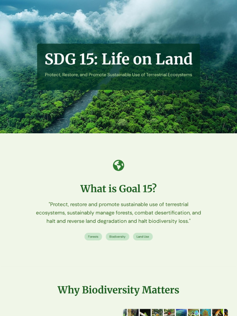 SDG 15 Life On Land | PDF