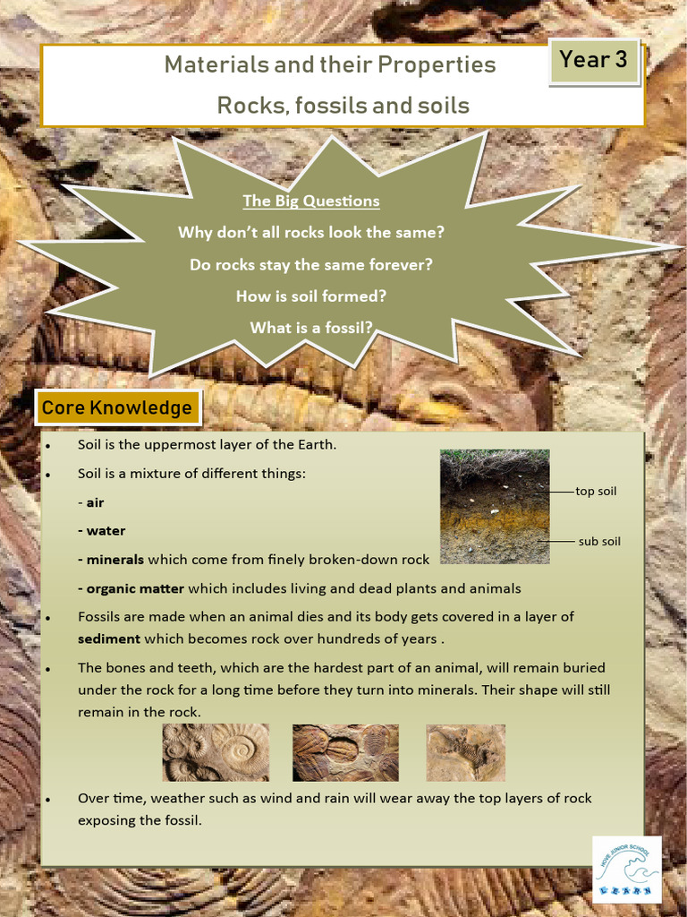 Year 3 Science Rocks and Fossils | PDF | Rock (Geology) | Igneous Rock