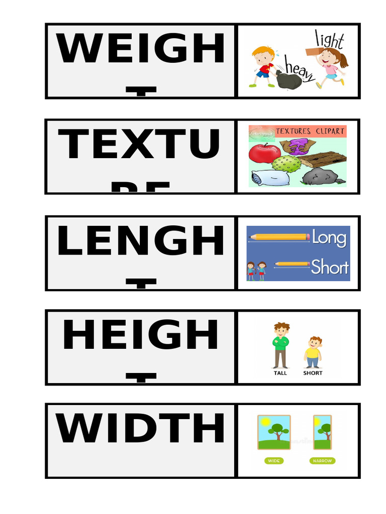 Physical Characteristics People | PDF