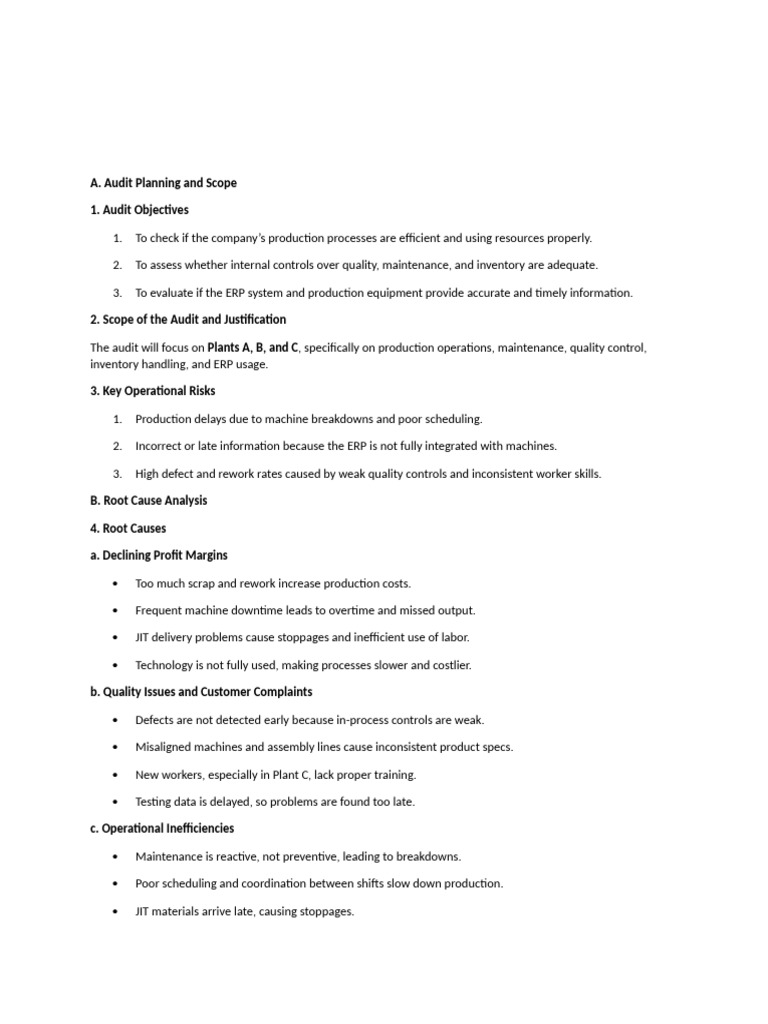 Operations Audit | PDF