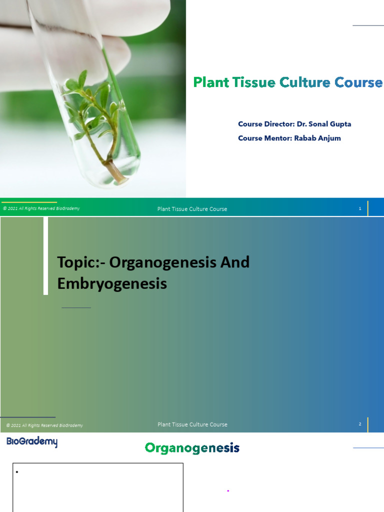 Organogenesis Embryogenesis | PDF | Embryo | Cell Biology
