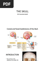 Unlabeled Axial Skeleton Overview | PDF | Skull | Skeletal System
