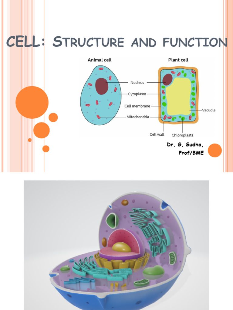 Cell Class 11 Ppt | PDF | Cell (Biology) | Cell Nucleus