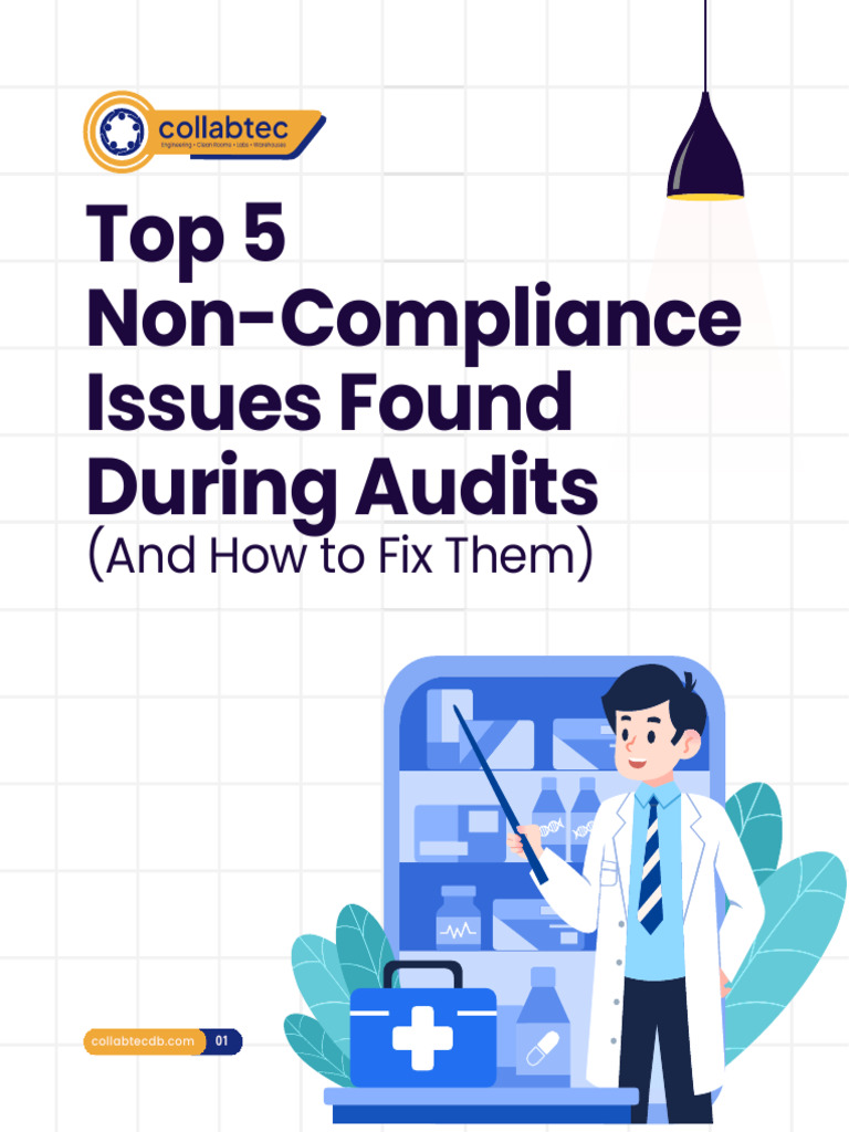 Top 5 Non-Compliance Issues | PDF | Audit | Business