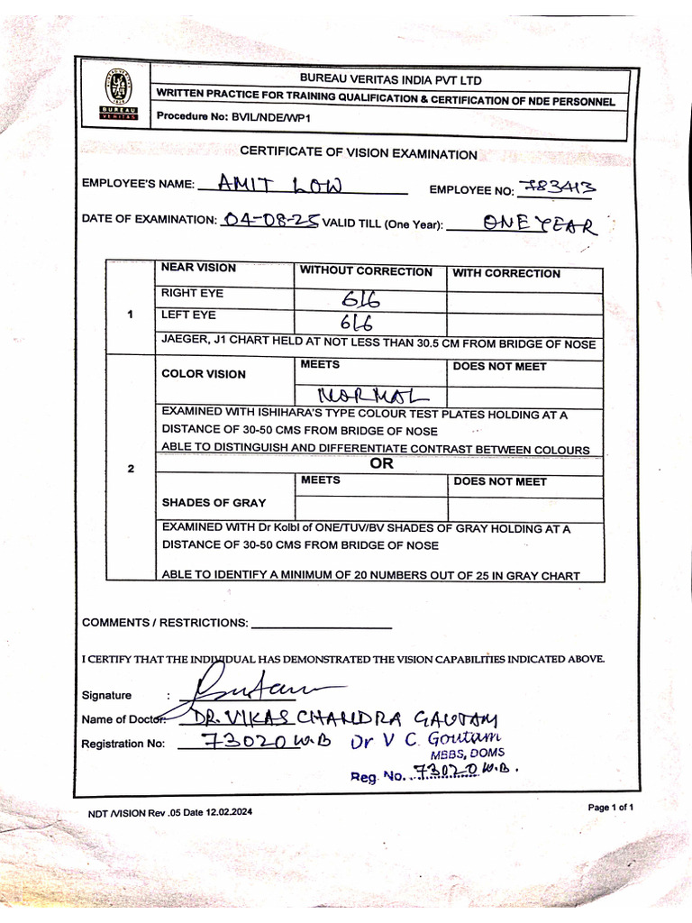 Amit Low Vision Certificate | PDF