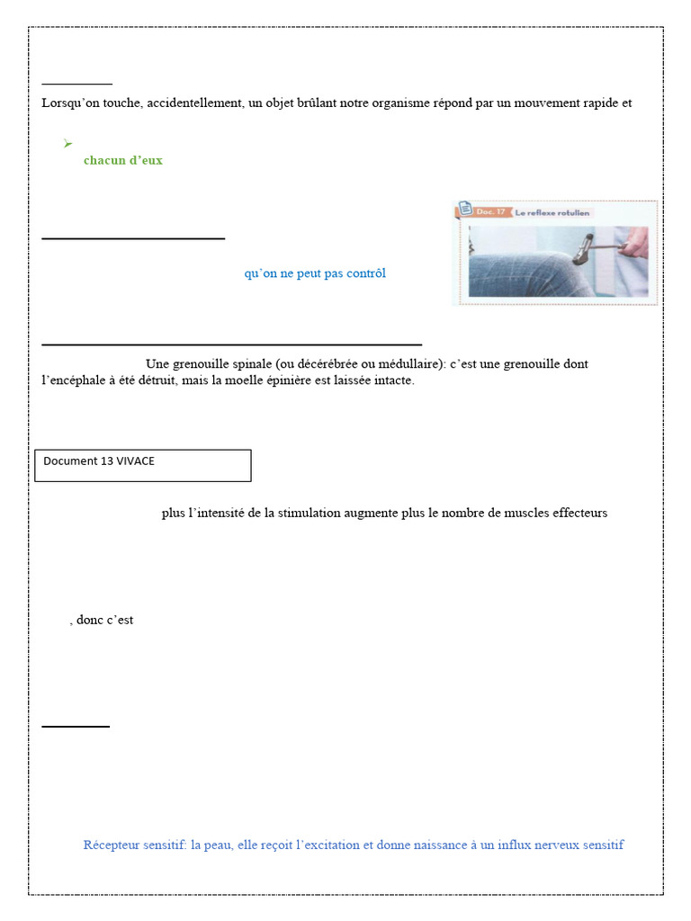 Résumé Motricité Involon Vivace M | PDF | Système nerveux | Synapse