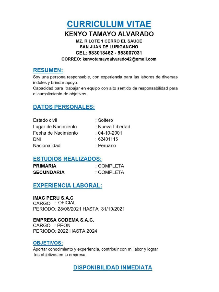 CV Kenyo | PDF | Documento de identidad | Información