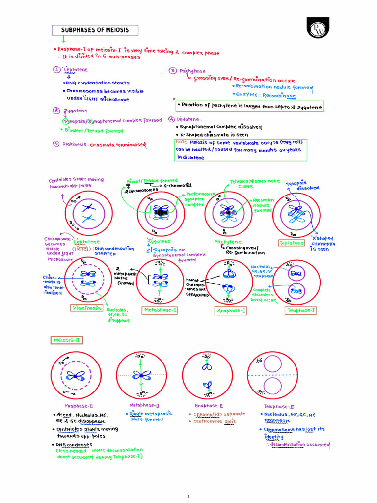 Cell Cycle and Cell Division 06 Class Notes Arjuna NEET_processed | PDF