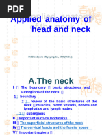 Cervical Lymph Node Mapping Guide | PDF