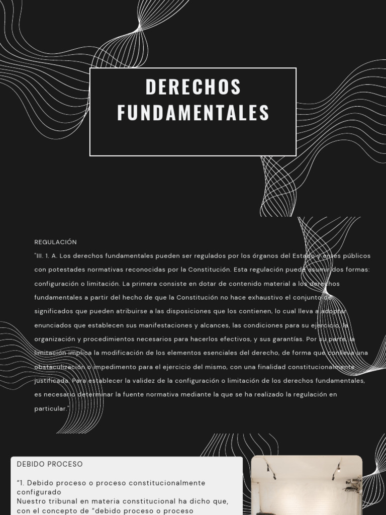 Derechos Fundamentales - El Debido Proceso | PDF | Debido al proceso ...