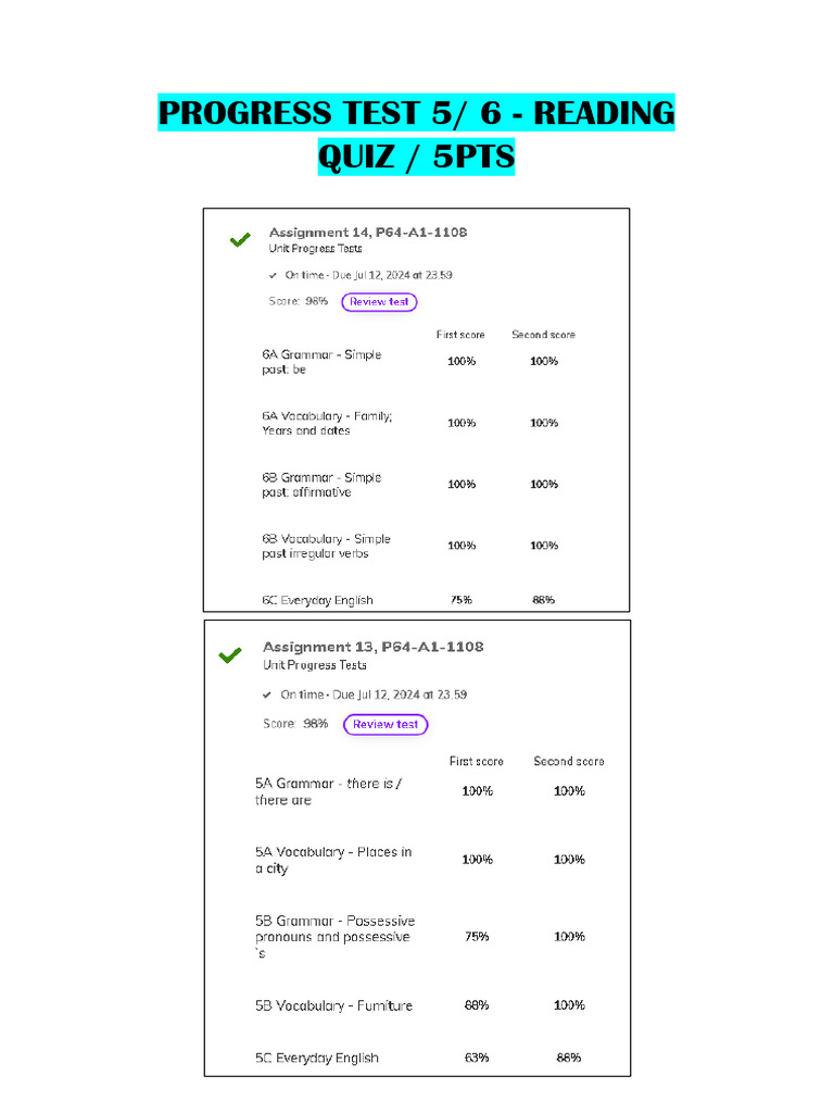 Progress Test | PDF